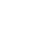 Web Daytona, LLC A+ BBB Rated Digital Marketing Agency Est. 2009.
